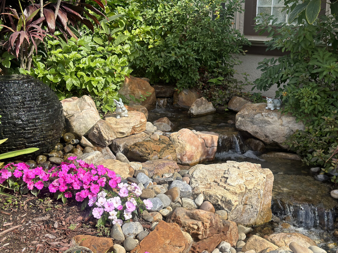 Aquascapes of Naples - High quality, eco-system water features and ...