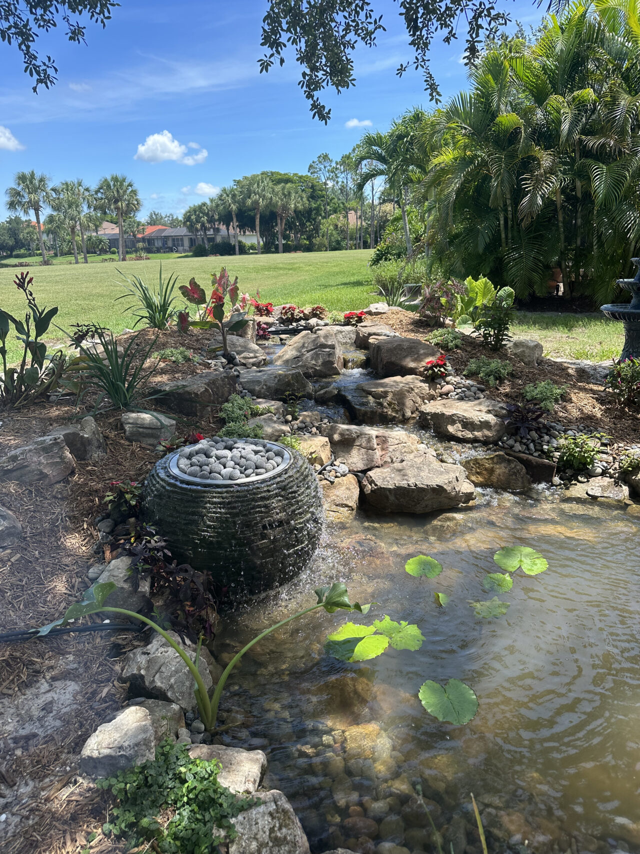 Aquascapes of Naples | Southwest Florida Eco-System water features and ...