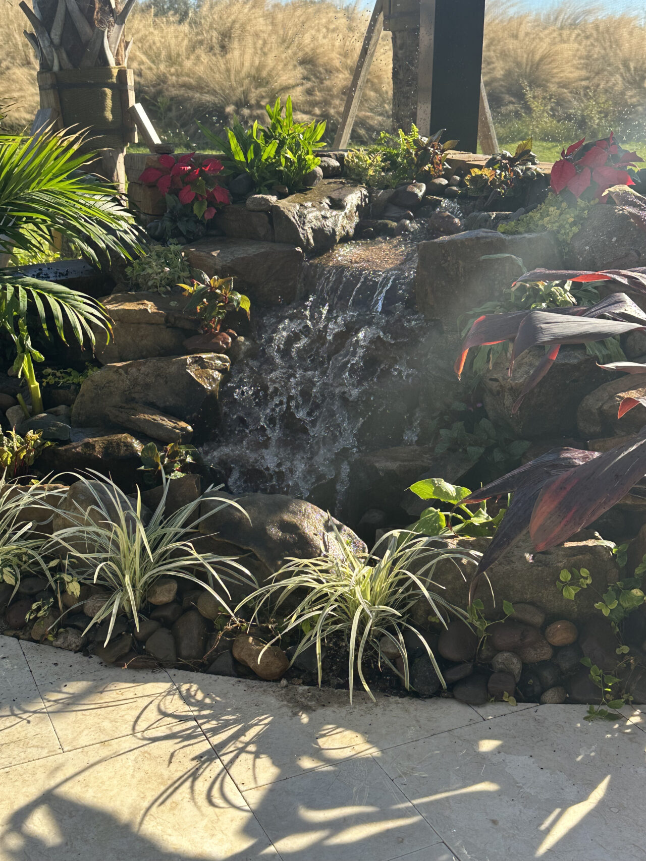 Aquascapes of Naples - High quality, eco-system water features and ...