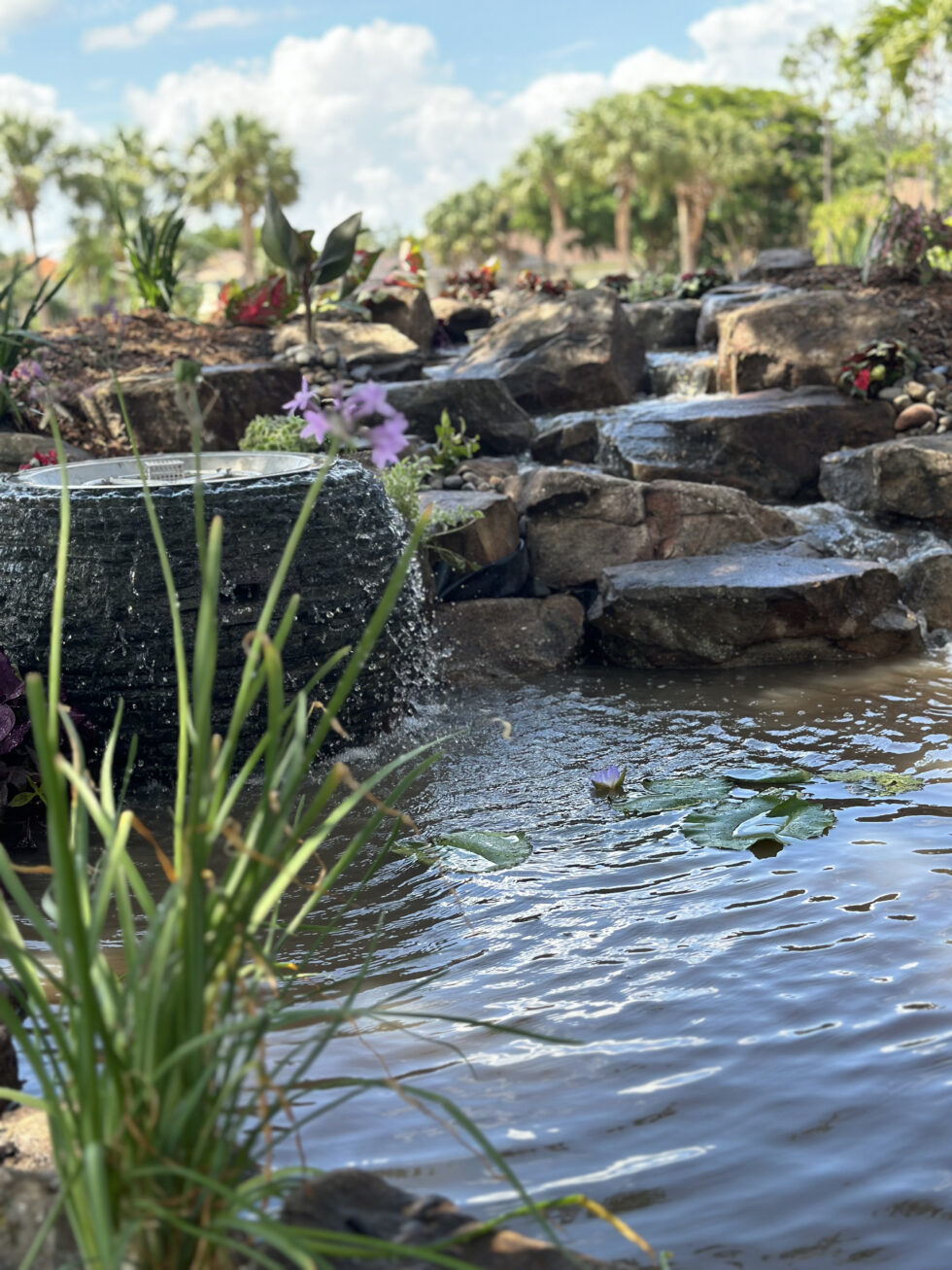 Aquascapes of Naples - High quality, eco-system water features and ...